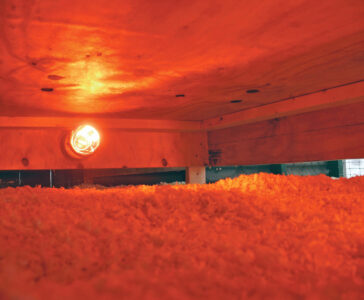 How to Make Your Own Chick Brooder - Backyard Poultry